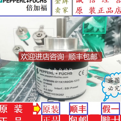 倍加福 P+F值多圈编码器ROGN  AVM58N-011K1R0GN-1213询价