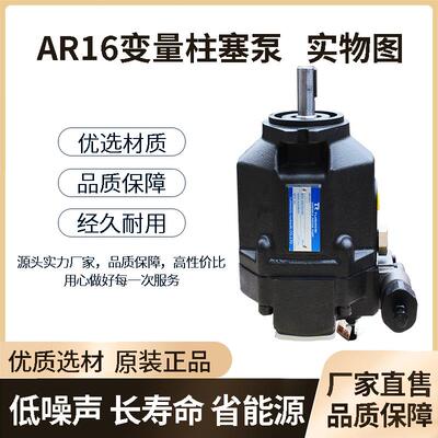 变量柱塞泵AR16-FR01C-22  AR22-FR01C-22油研YUKEN