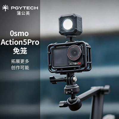 蒲公英官方正品顺丰发货假一罚十