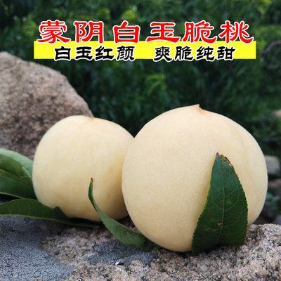 应季新鲜水果山东蒙阴蜜桃白桃纯甜脆白玉脆桃4.5斤普快顺丰整箱