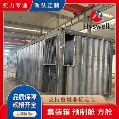 特种设备箱船用海工平台offshore箱定制集装箱柴油发电机组预制舱