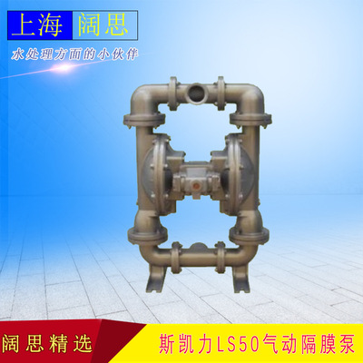 【自吸式隔膜泵】LS50 SS-AA-NE-PP-NE-00斯凯力单向隔膜泵