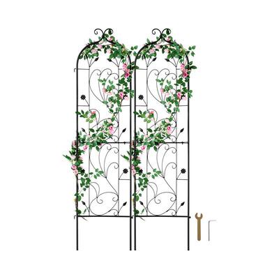 欧式花园花卉落花铁架拆装式铁艺爬藤架蔷线地莲薇月季TL25320攀