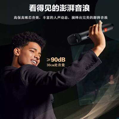 WIRELESS MICROPHONE手持无线一拖二麦克风唱k歌户外音响演出话筒
