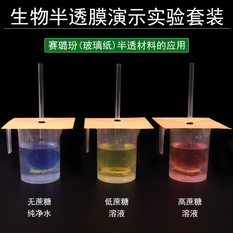 生物半透膜实验套组赛璐玢渗透实验器材跨膜运输模型高中教学用
