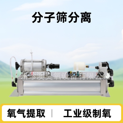 珍澳10L制氧设备模块psa分子筛制氧机工业水处理焊接小型制氧设备