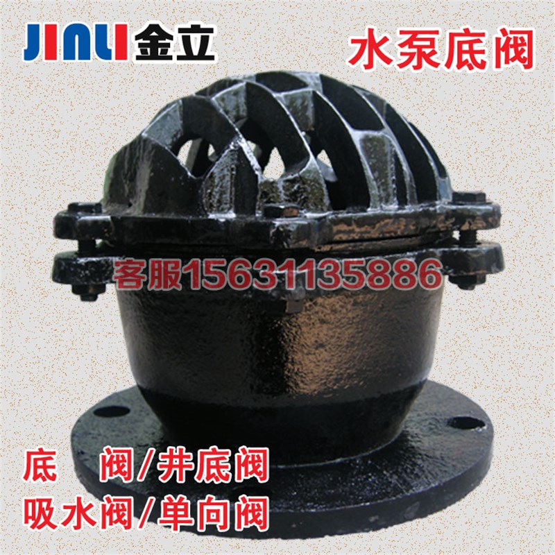 热销H42X-10法兰底阀止回阀 抽v水泵吸水底阀DN50 65 80 100 150