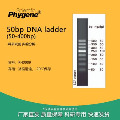 50bp DNA Marker ladder（50-400bp）100T [PH0009 PHYGENE]