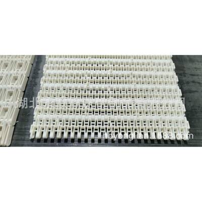 YL-5033塑料链板5033塑料网带5033塑料模组输送带电池输送链板
