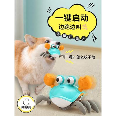 狗狗发声玩具电动解闷神器柯基比熊泰迪犬逗小狗消耗体力宠物用品