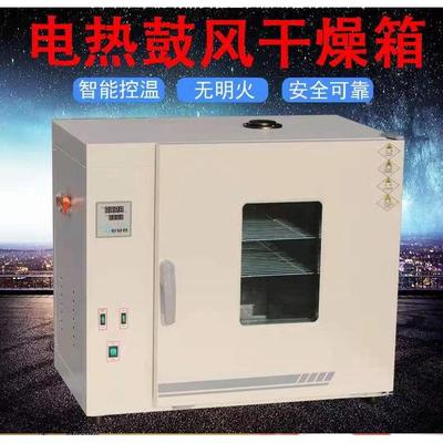 FX101-4电热鼓风干燥箱上海树立风机烘箱智能恒温烤箱水分烘干箱