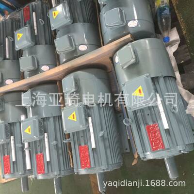 IFGEJ-50-0.55-2刹车电机Motor