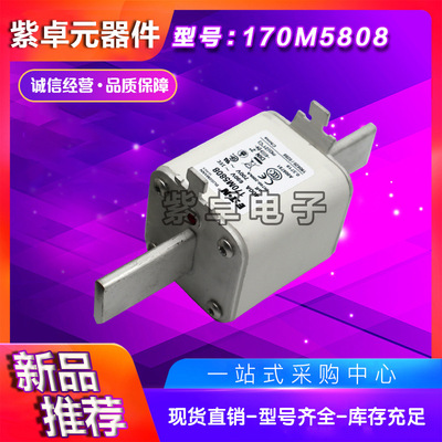 Bussmann熔断器170M5808 170M5809 170M5810 170M5811 170M5812