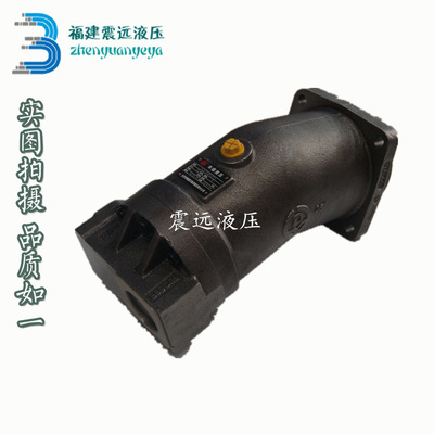北京华德斜式柱塞泵马达 A2F63R2P3 A2F80R2P3