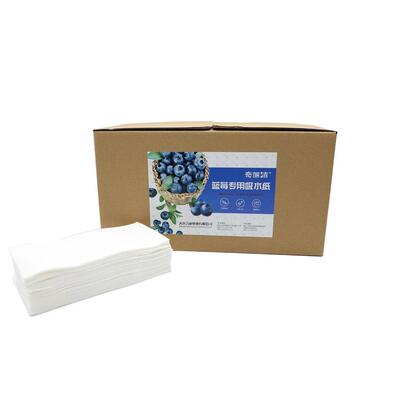 厂家直销PRI奇洁蓝莓水纸温箱保快递果蔬保鲜纸吸丽潮纸无尘吸健