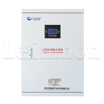厂家应急照明集中电源配电箱LM-D-0.3KVA DC36V 30分钟智能疏散指