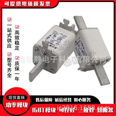 170M3739 170M3740 170M3741 170M3742巴斯曼熔断器现货170M3743