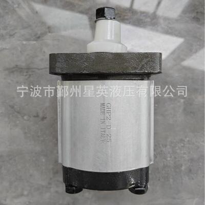 液压泵配件GHP2-D-25GHP-2-D-30MARZOCCHI高压补油泵齿轮泵