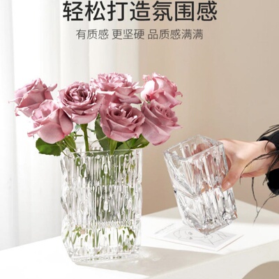 somier轻奢高级感水晶花瓶玻璃透明鲜花客厅餐桌插花摆件ins风