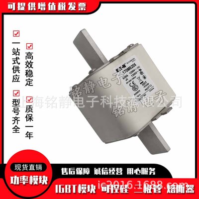 170M6208 170M6209 170M6210 170M6211全新现货熔断器170M6212