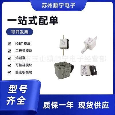 170M6908  170M6909  170M6910熔断器保险丝 全新原装 型号齐全