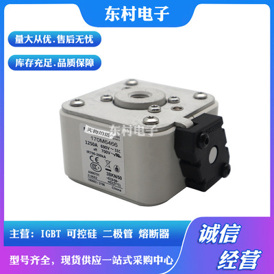 熔断器全新170M6494 170M6495 170M6496 170M6497 170M6498现货