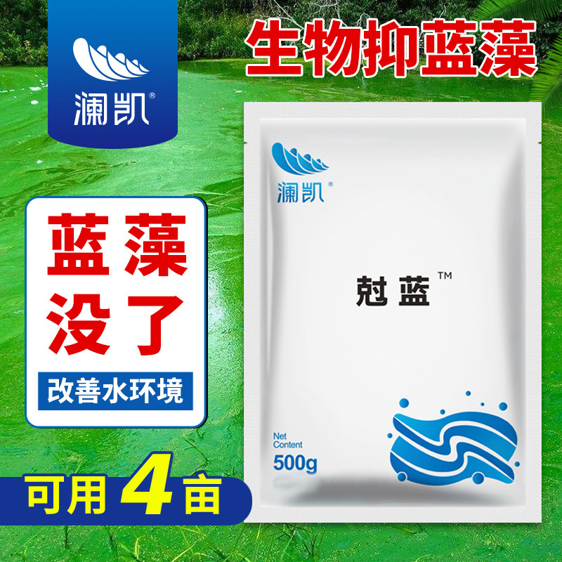 蓝藻净蓝藻分解素水产养殖用鱼虾蟹塘蓝藻分解酶生物除蓝藻除藻剂