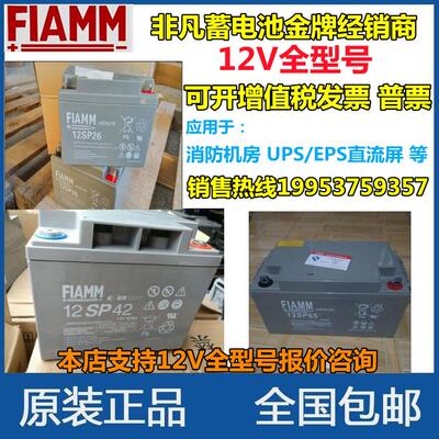 FLAMM非凡蓄电池12SP/12V7AH17AH24AH42AH65AH100AH120AH免维护
