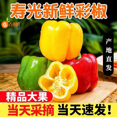 现摘甜椒五彩椒生吃不辣新鲜圆椒红椒黄椒绿椒七彩辣椒水果椒包邮