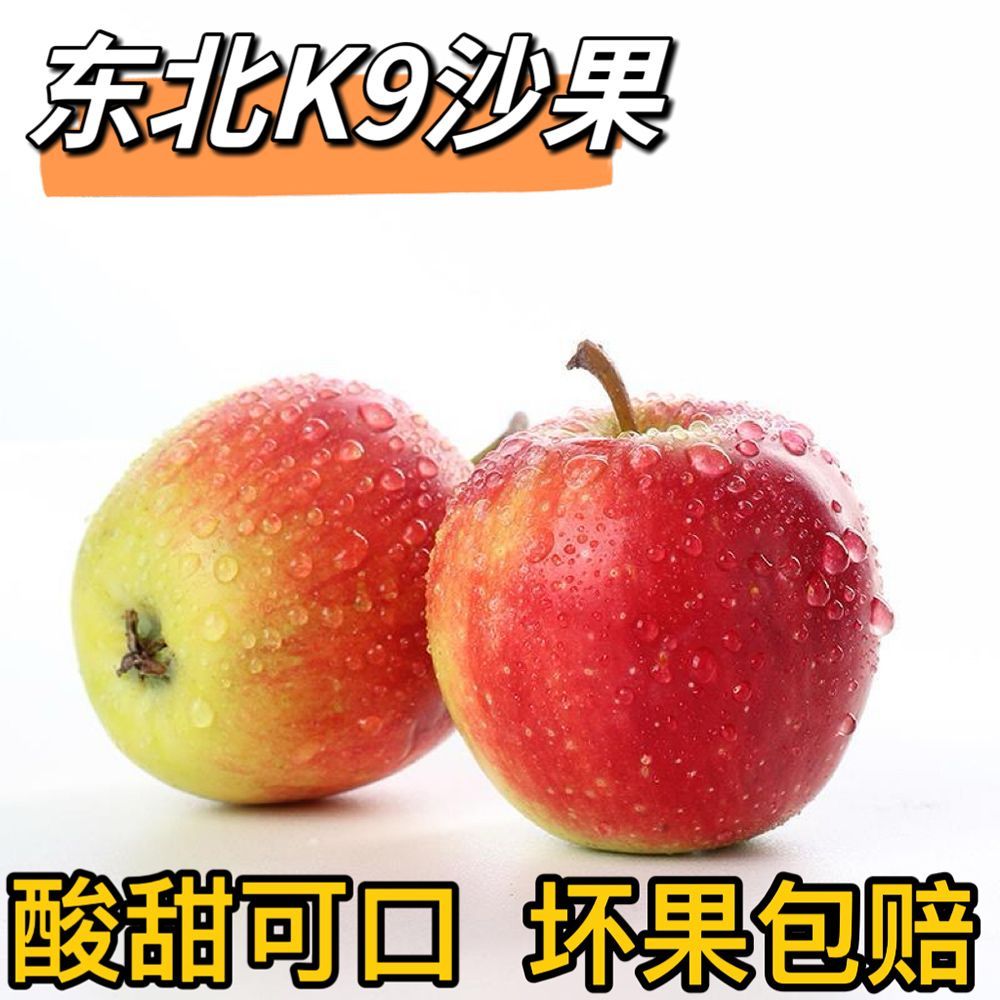 顺丰正宗东北K9沙果酸脆甜小苹果新鲜应季海棠果水果沙果整箱包邮