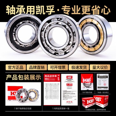 KIF进口203减速机204偏心轴承RN205 206 219 222 228 307 309M312