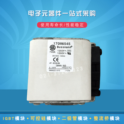 好货巴斯曼快速熔断器170M6557 6558 6559 6560 6561 6562 6563 6