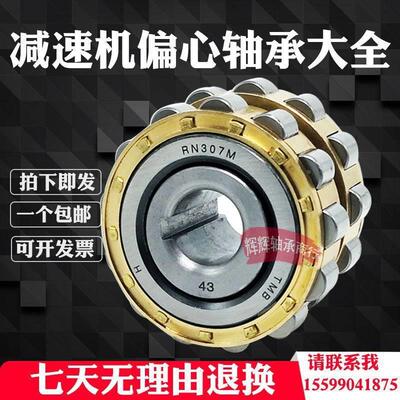 偏心轴承RN307 RN309M RN312 RN207 502309 M 502307摆线针减速机
