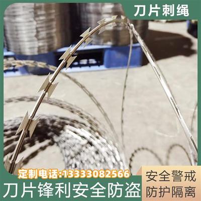 刀片刺绳防盗刺网镀锌刺丝滚笼围墙防爬刺铁丝网不锈钢围栏铁刺网