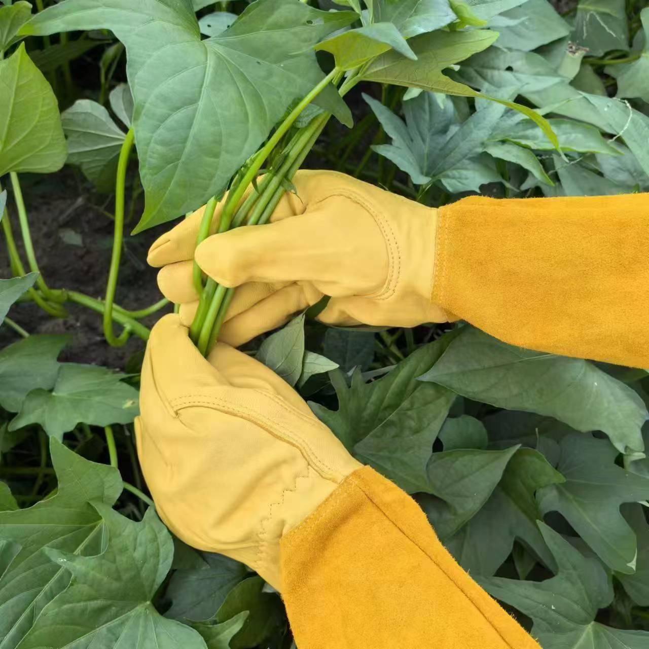 跨境羊皮长筒园艺手套种菜种花插花剪枝防刺园林花园作业劳动