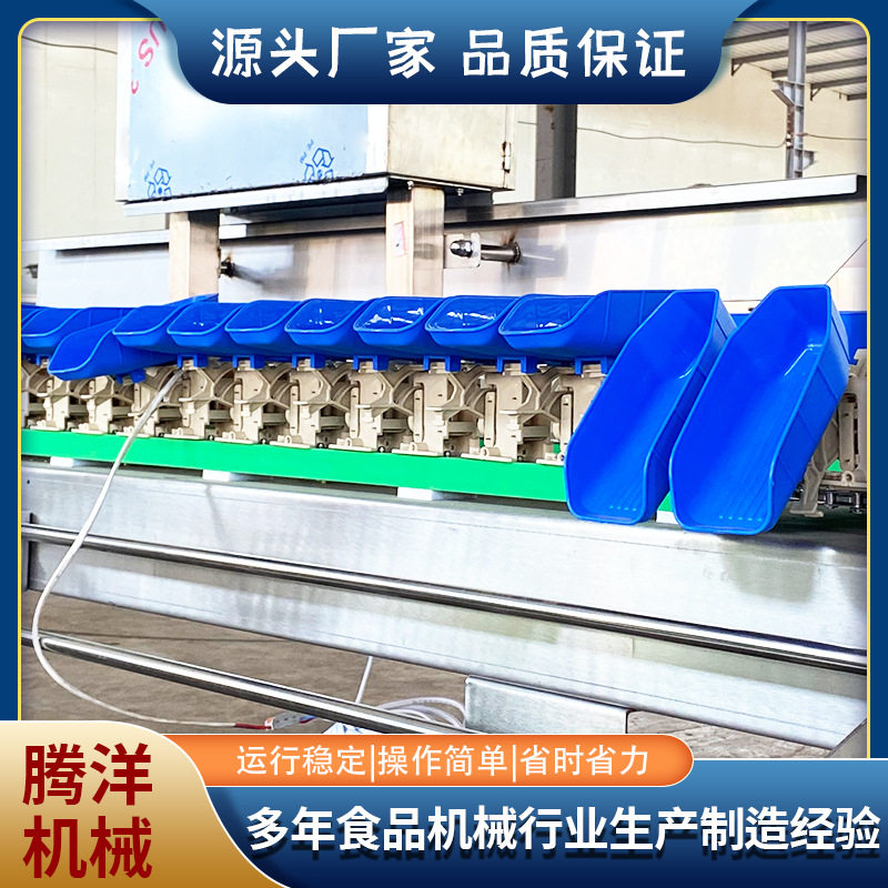 水果重量分选机 桃子大小选果分级包装流水线 无损伤清洗分选设备