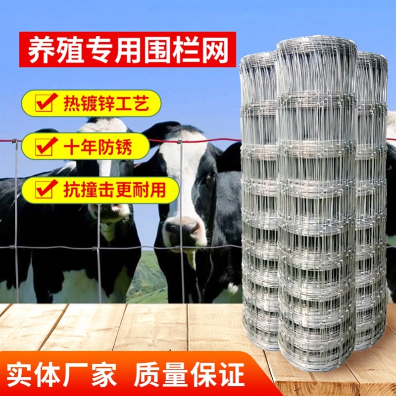 好货荷兰网硬塑铁丝网围栏养殖网养鸡网栅栏铁网护栏钢丝网防护网