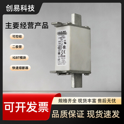 170M1558 170M1559 170M1560 170M1561 170M1562熔断器170M系列。