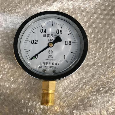 上海仪川仪表厂 耐震压力表 YN-100 0-1mpa 直径100mm 牙m20x1.5