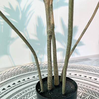 仿真百合竹金室植落地JOP装现代橱窗造景风水假树绿盆栽饰摆内设