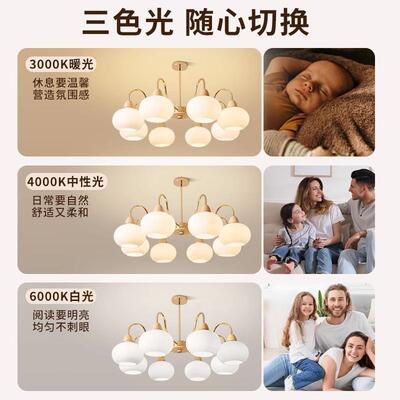 汇园客厅吊灯法式奶油风子原灯厅主大灯中古复2993-PRO古木风柿灯