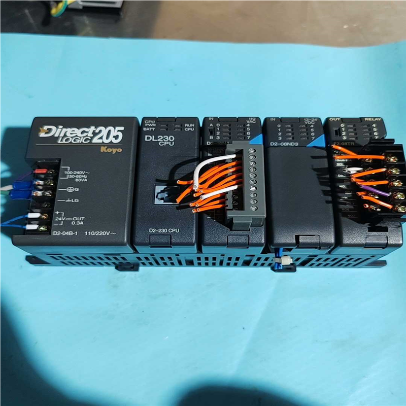议~KOYO光洋PLC DL230 CPU. D2-16NA_虎窝淘
