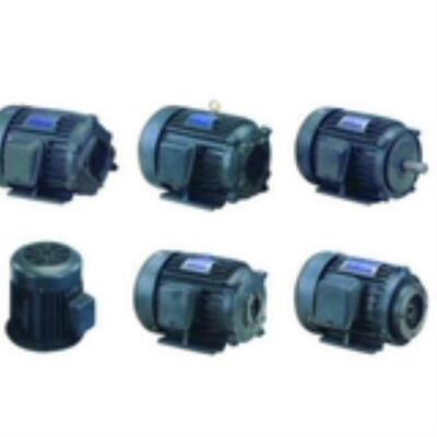 台湾VICTCERS电机5HP 375KW质保一年89S7YXH现货