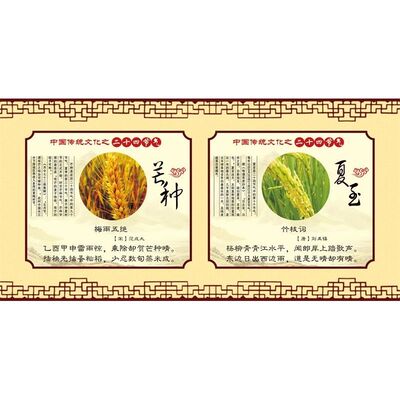 二十四节气歌展板芒种夏玉海报小暑大暑立秋处暑装饰画挂图白露