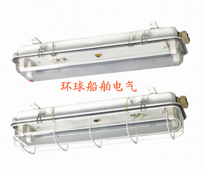 船用荧光舱顶灯JCY22-2EF带应急网罩ZYC22-2EFJCY32/42-2EF海星
