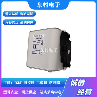 熔断器全新170M6663 170M6664 170M6665 170M6666 170M6667现货