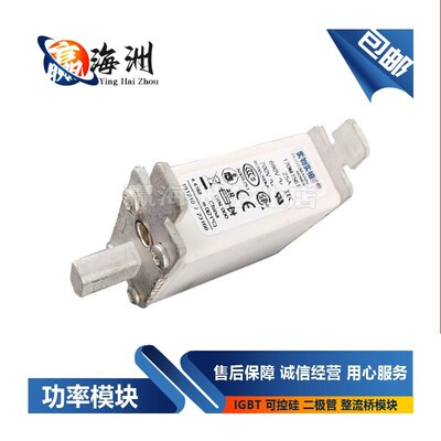 巴斯曼170M1561 170M1558 170M1559 170M1560 直流快速熔断器