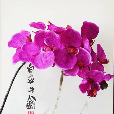 Orchid European style 10 Phalaenopsis Artificial flowers