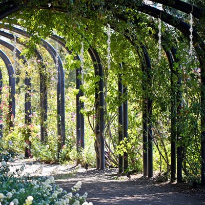 ontrol Device Agricultural Scare Bird Garden Ornaments Decor