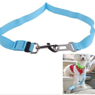 好货Terbaru kerah anjing anjing memanfaatkan hewan peliharaa